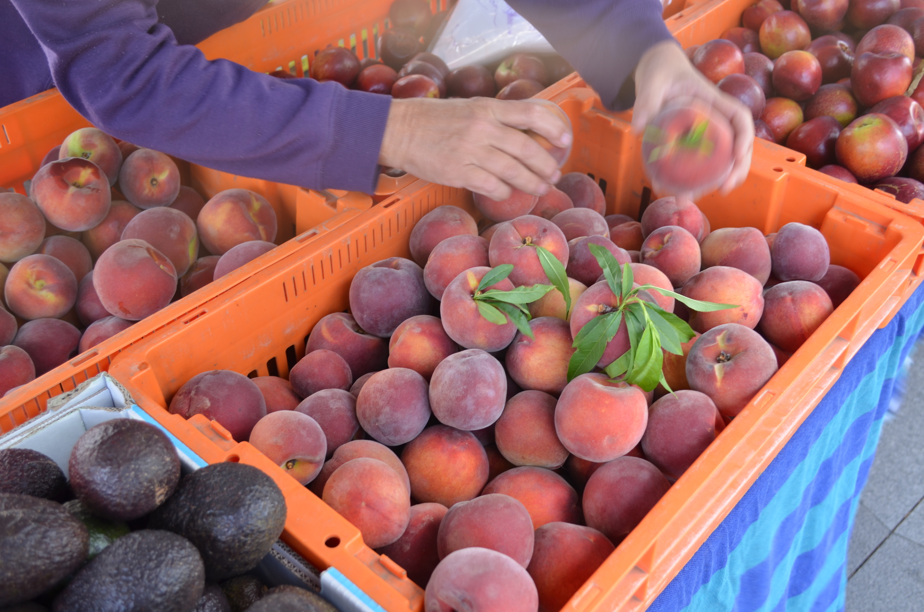 Parramatta Farmers’ Markets | Shopping in Sydney