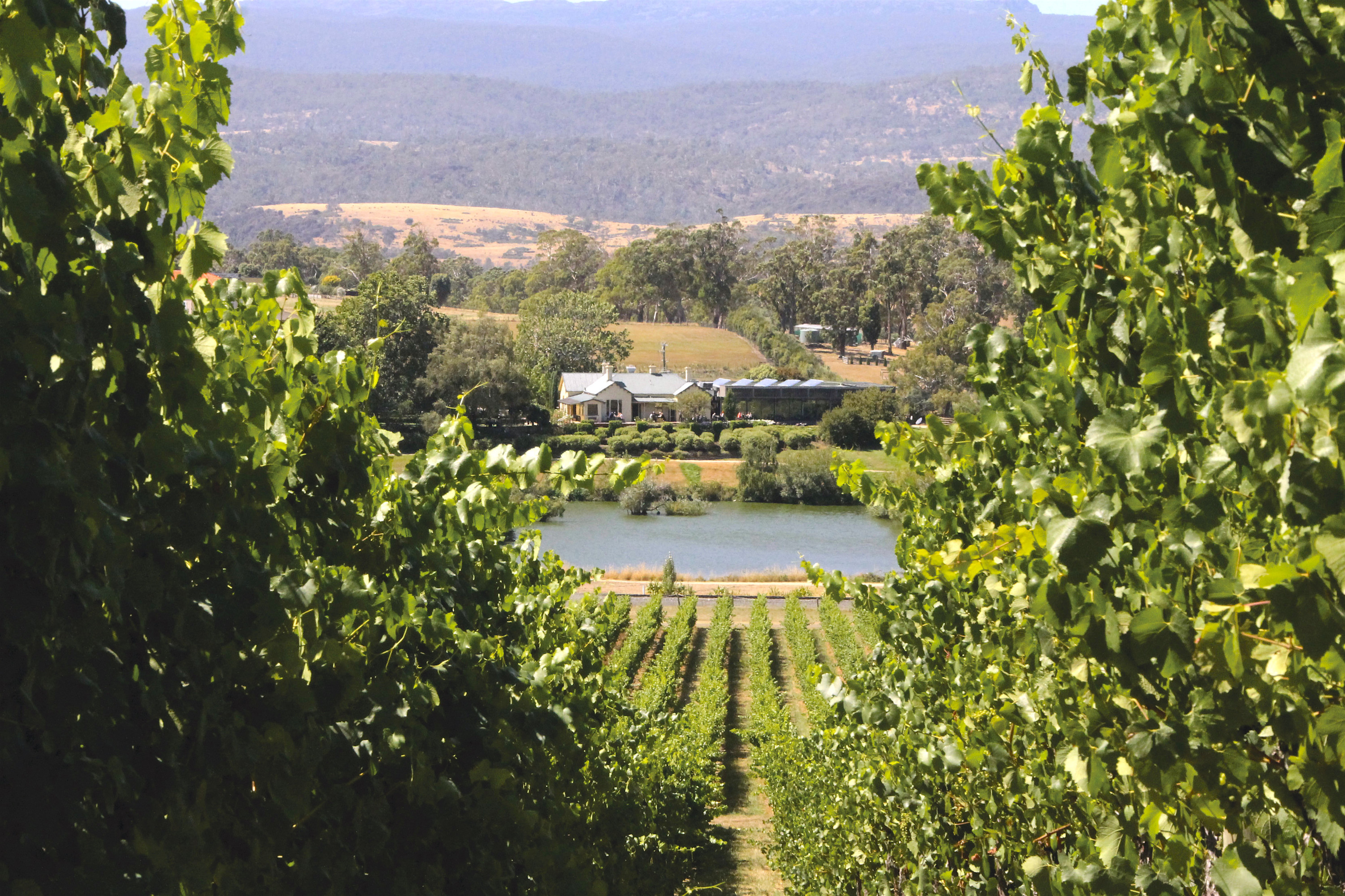 How to spend the perfect weekend in Launceston