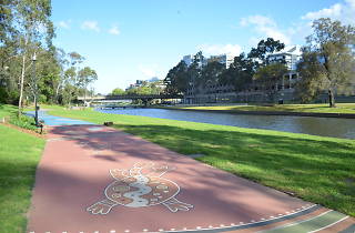 Parramatta River | Things to do in Parramatta, Sydney