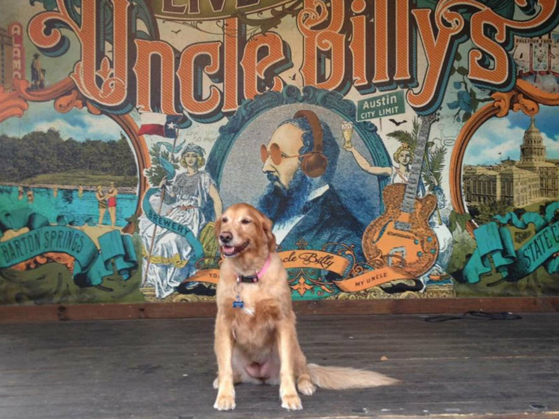 Best dog-friendly restaurants in Austin to take your pup on a date