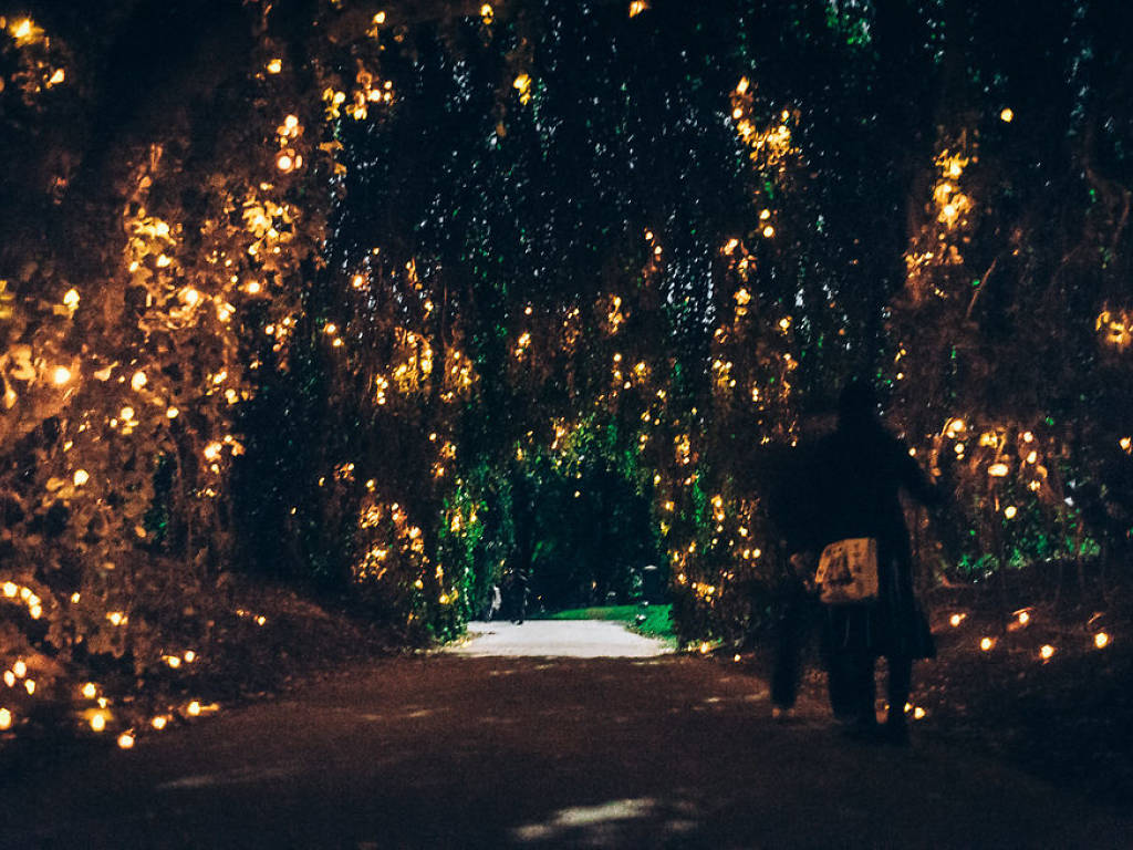 50 reasons fall in New York is the best including things to do