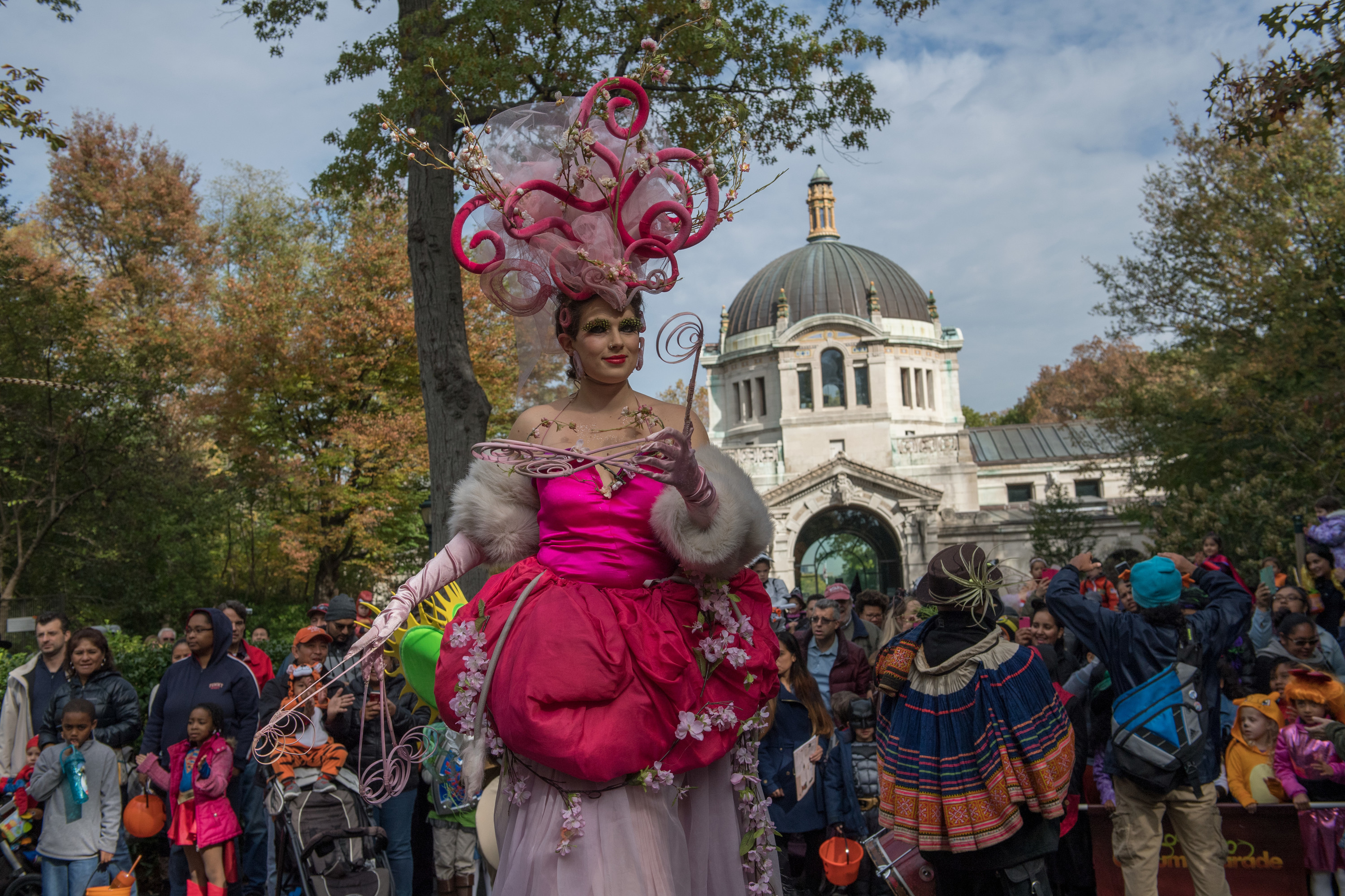 Boo at the Zoo | Things to do in New York