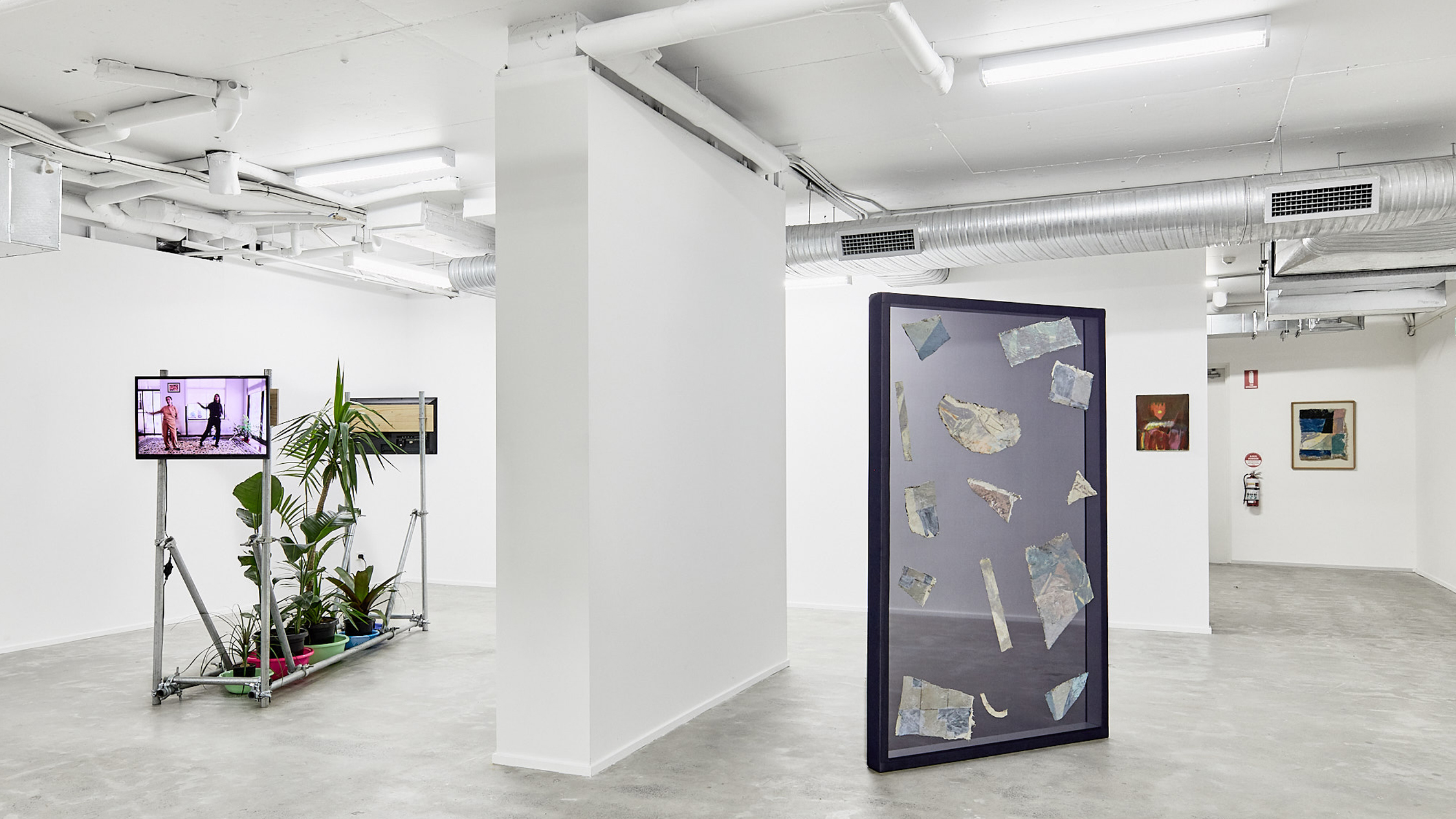 COMA | Art in Rushcutters Bay, Sydney