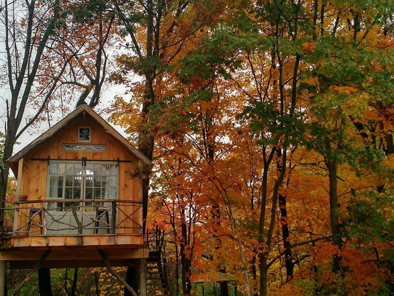 The coolest Airbnb treehouse rentals near NYC