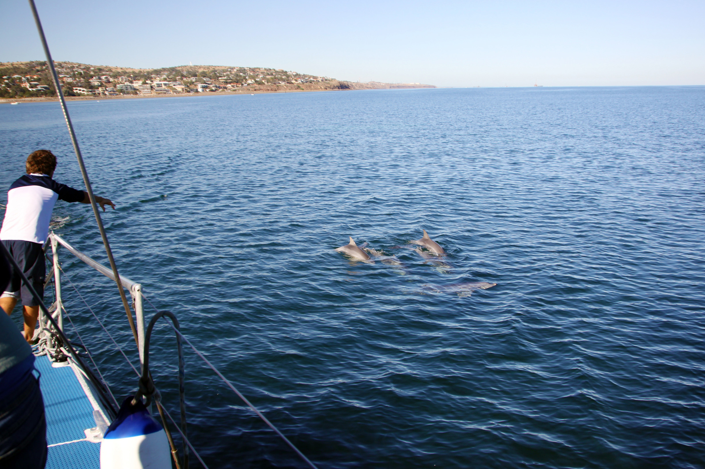 Temptation Sailing | Things to do in Glenelg Jetty Road, Adelaide
