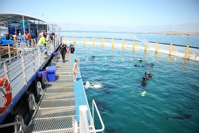 Oceanic Victor | Things to do in Adelaide