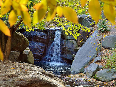 Gorgeous photos of NYC's Central Park in the fall