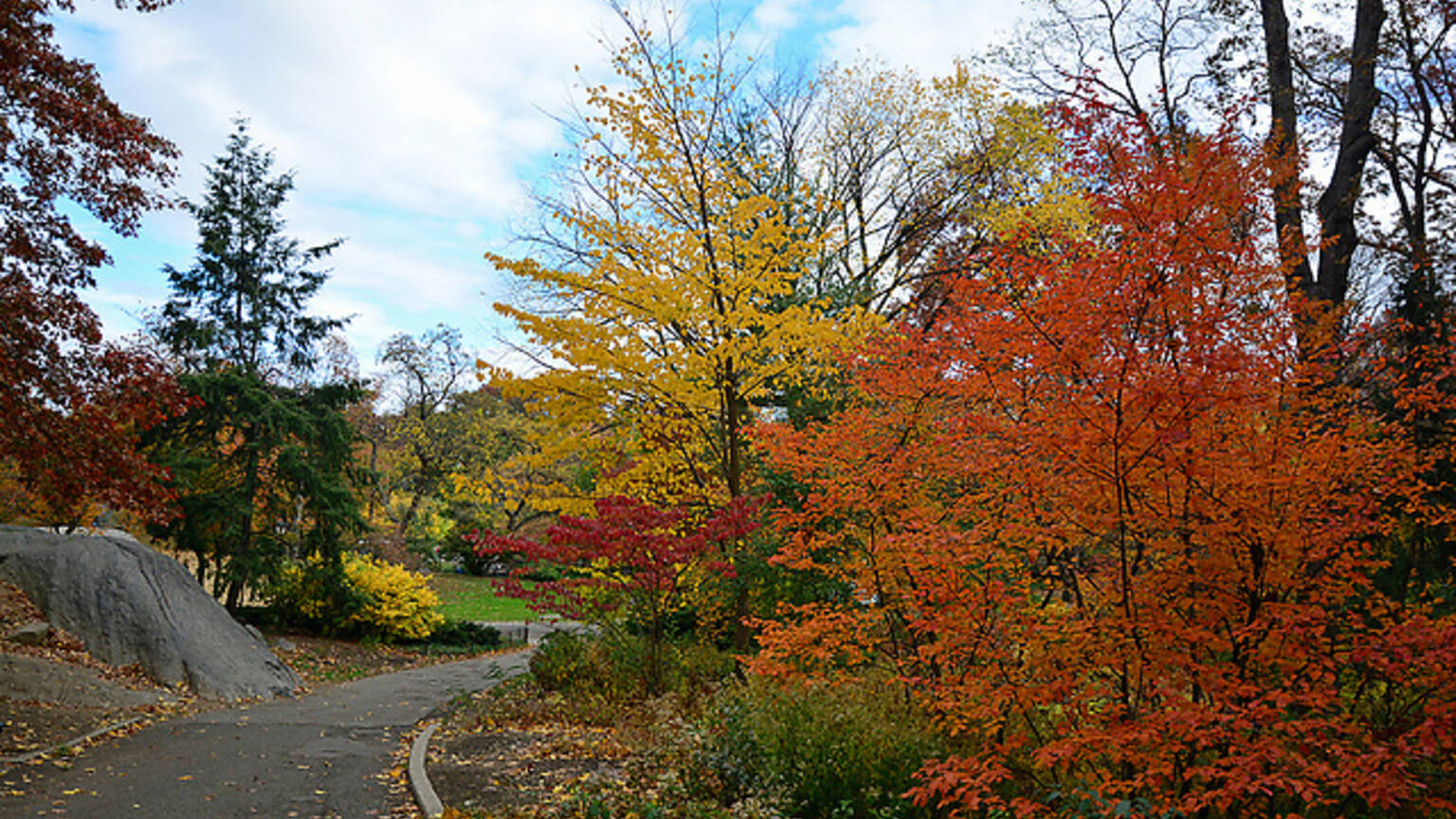Gorgeous photos of NYC's Central Park in the fall