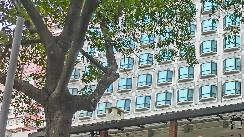 North Point: The Ultimate Guide — Time Out