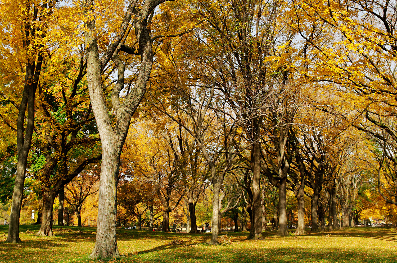 Four fall AF events to welcome the cool weather this weekend