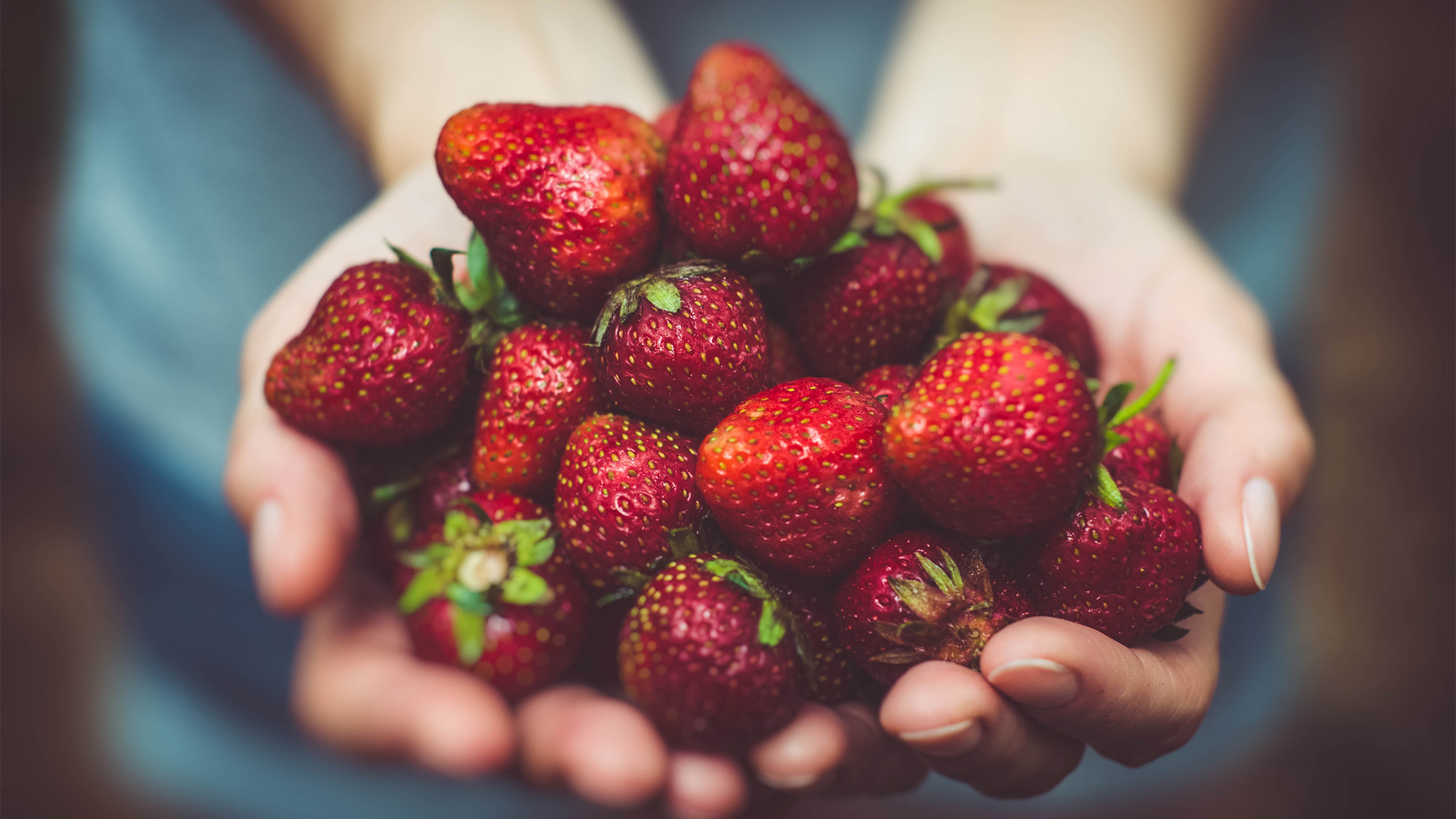 Beechworth Berries | Attractions in Hastings, Melbourne