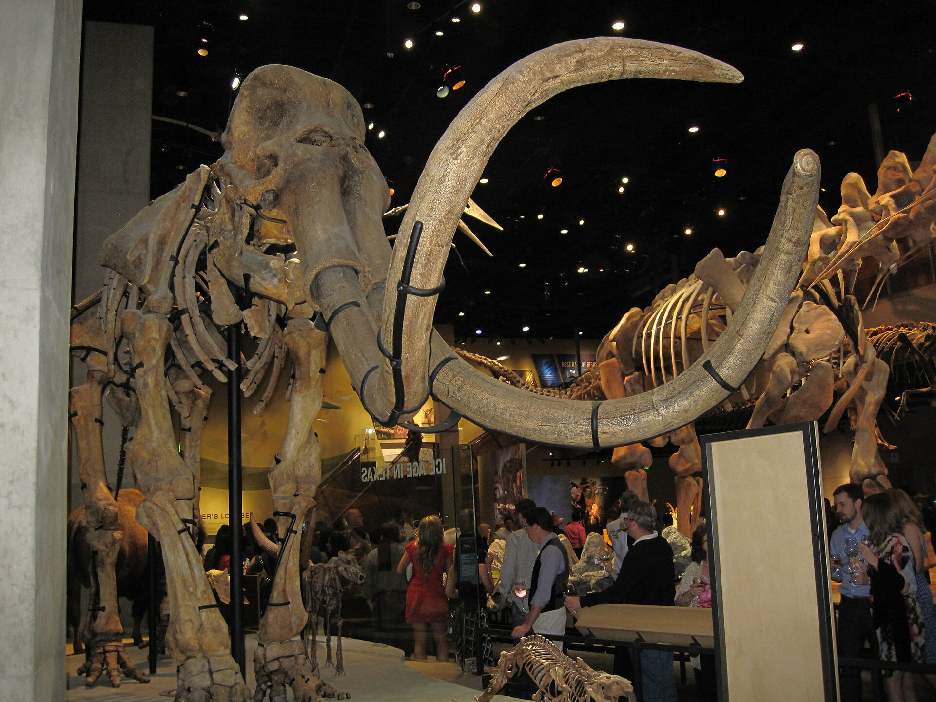 23 Awesome Attractions in Dallas for Both Tourists and Locals