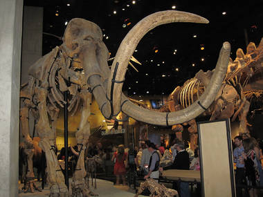 23 Awesome Attractions in Dallas for Both Tourists and Locals