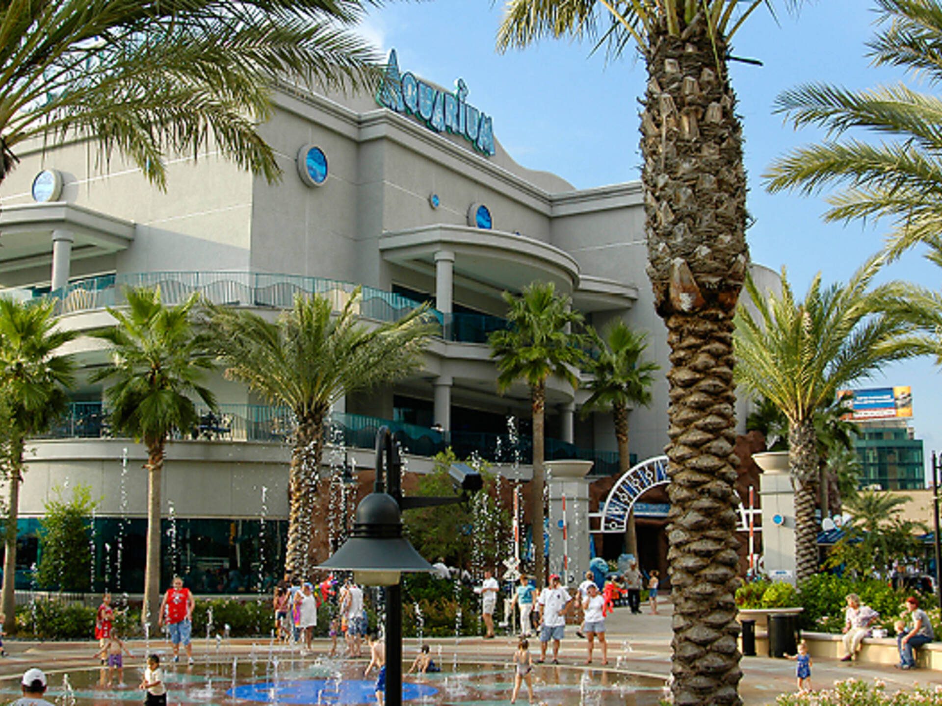 20 Best Attractions in Houston, Texas