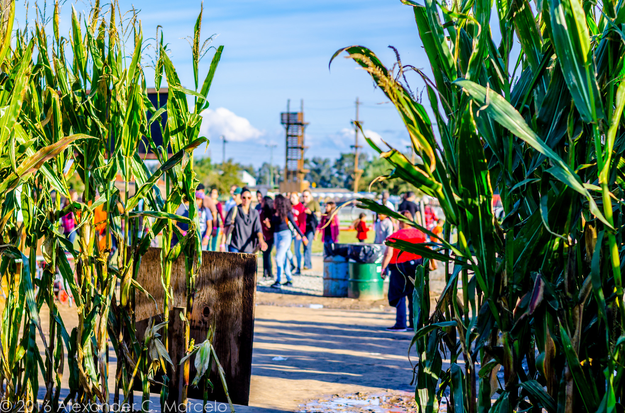 Dell’Osso Family Farm | Attractions in San Francisco