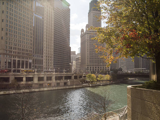 The three things you need to know today in Chicago: Wed, Oct 18