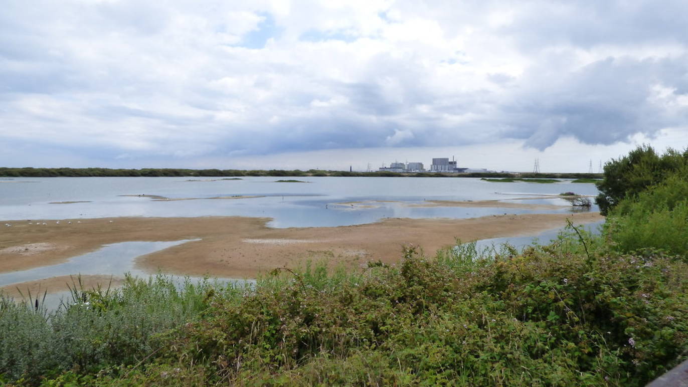 7 Best Things To Do In Dungeness Right Now