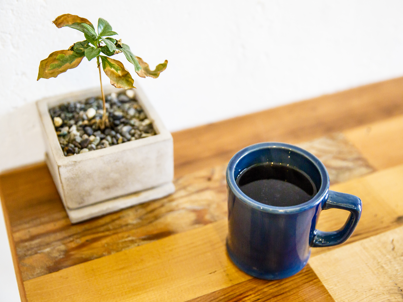 30 best coffee shops in Tokyo