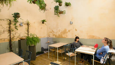 Noshi Coffee | Restaurantes | Clérigos, Porto