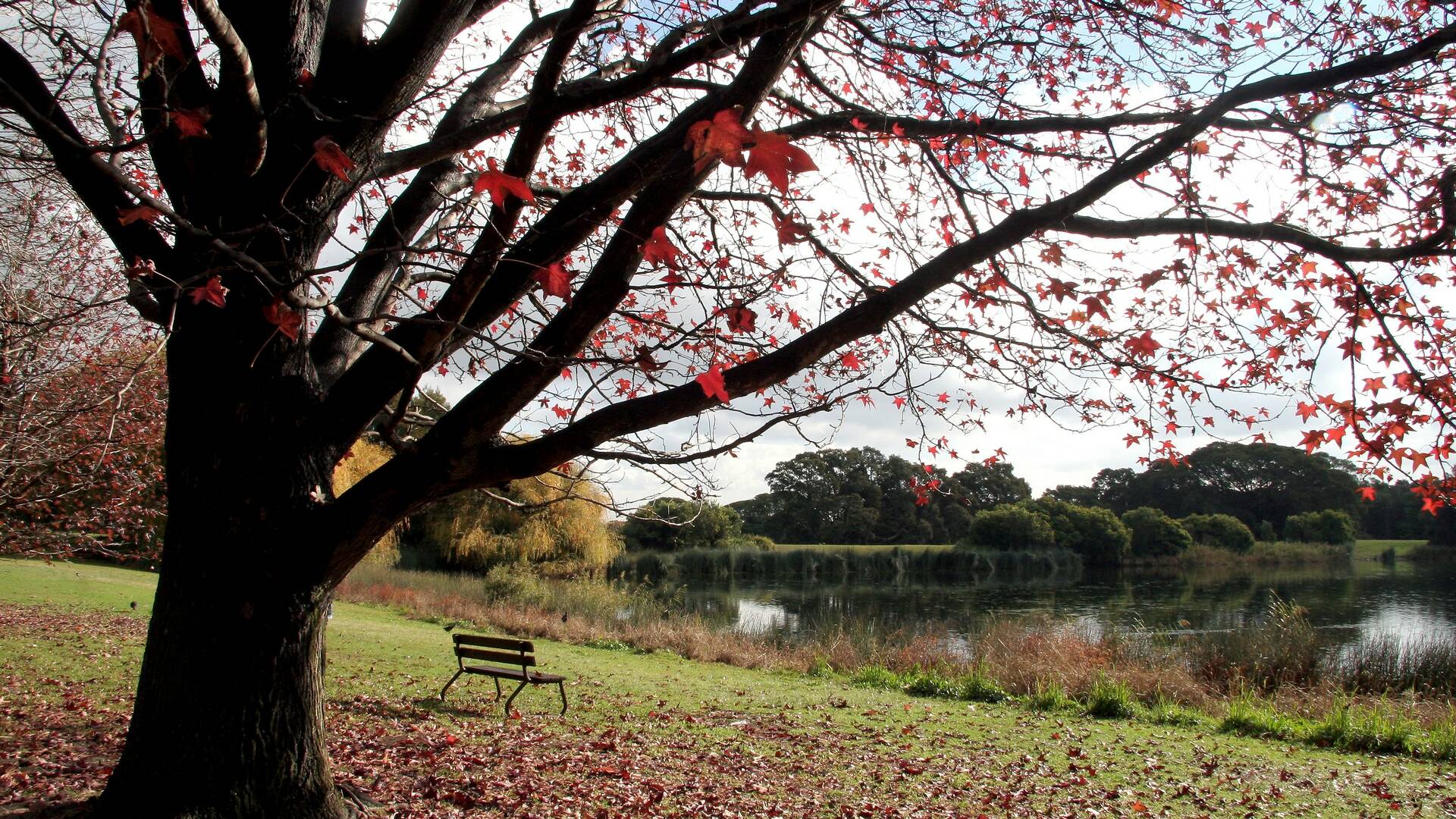 Centennial Parklands | Things to do in Centennial Park, Sydney