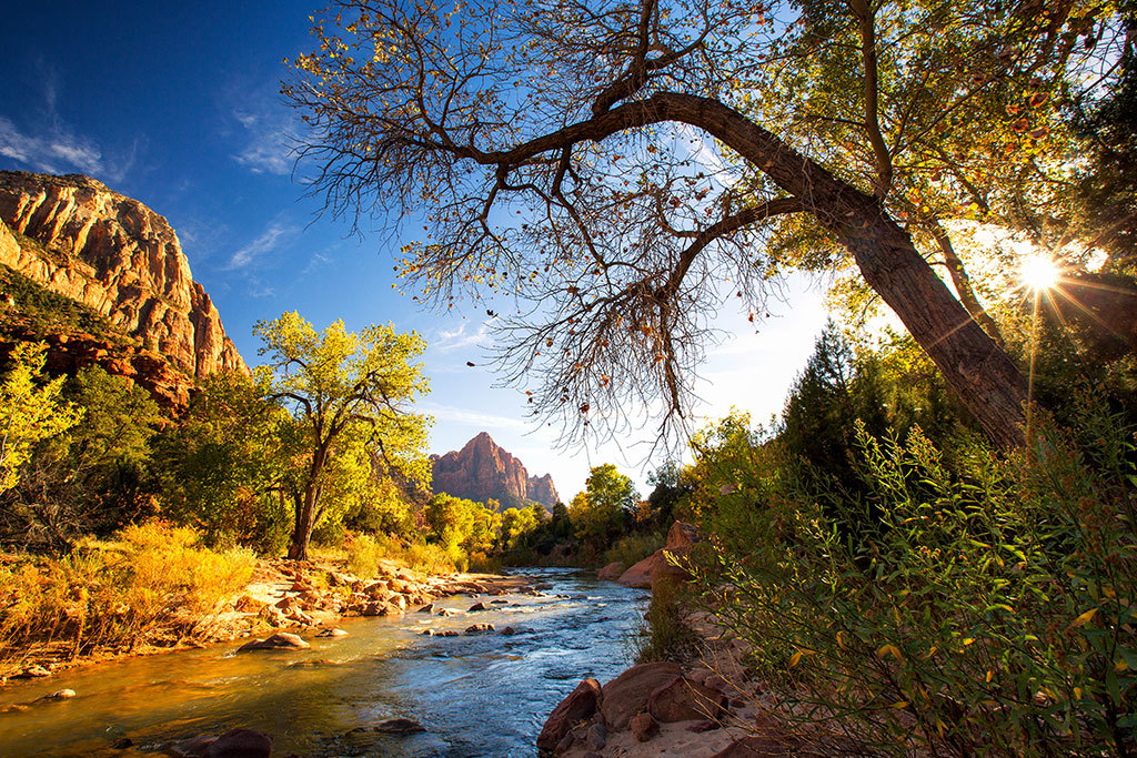 The 10 most scenic national parks in the United States