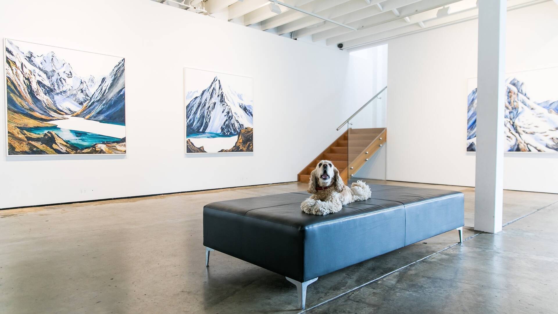 Martin Browne Contemporary | Art in Paddington, Sydney