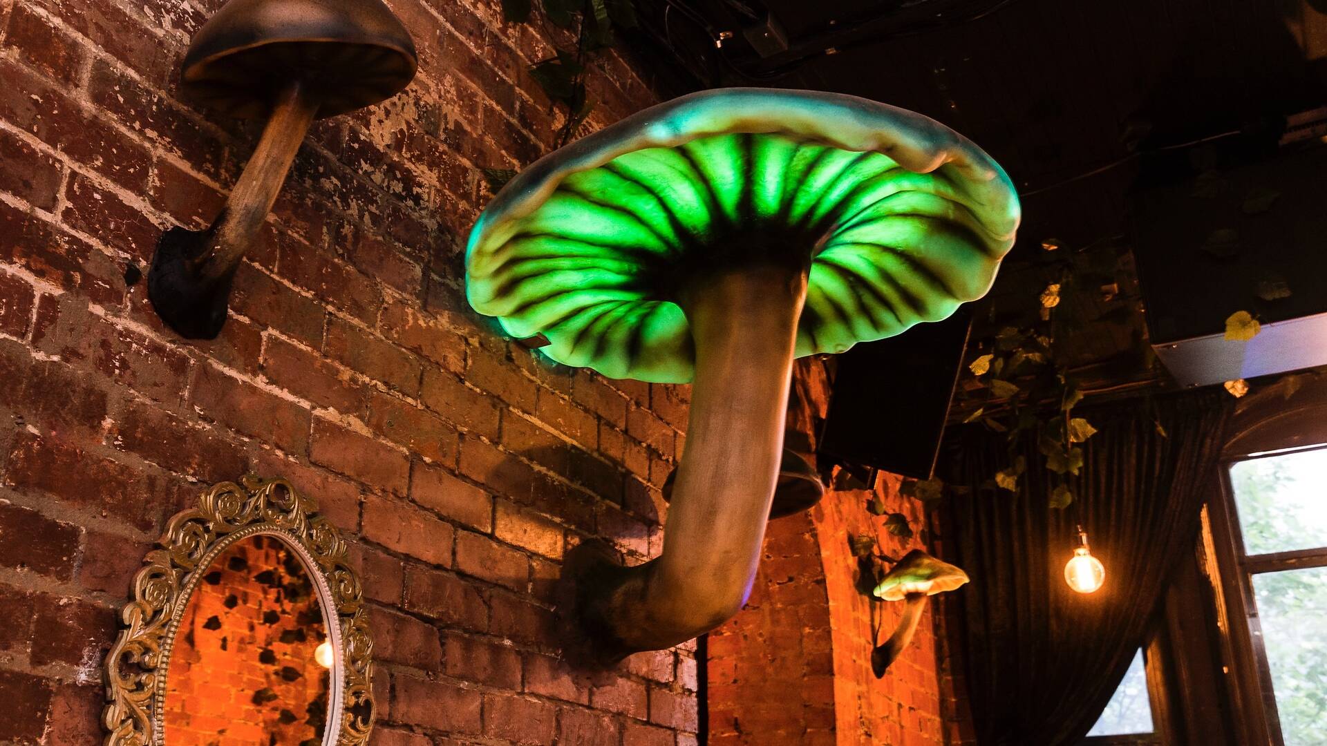 StoryVille | Bars in Melbourne, Melbourne
