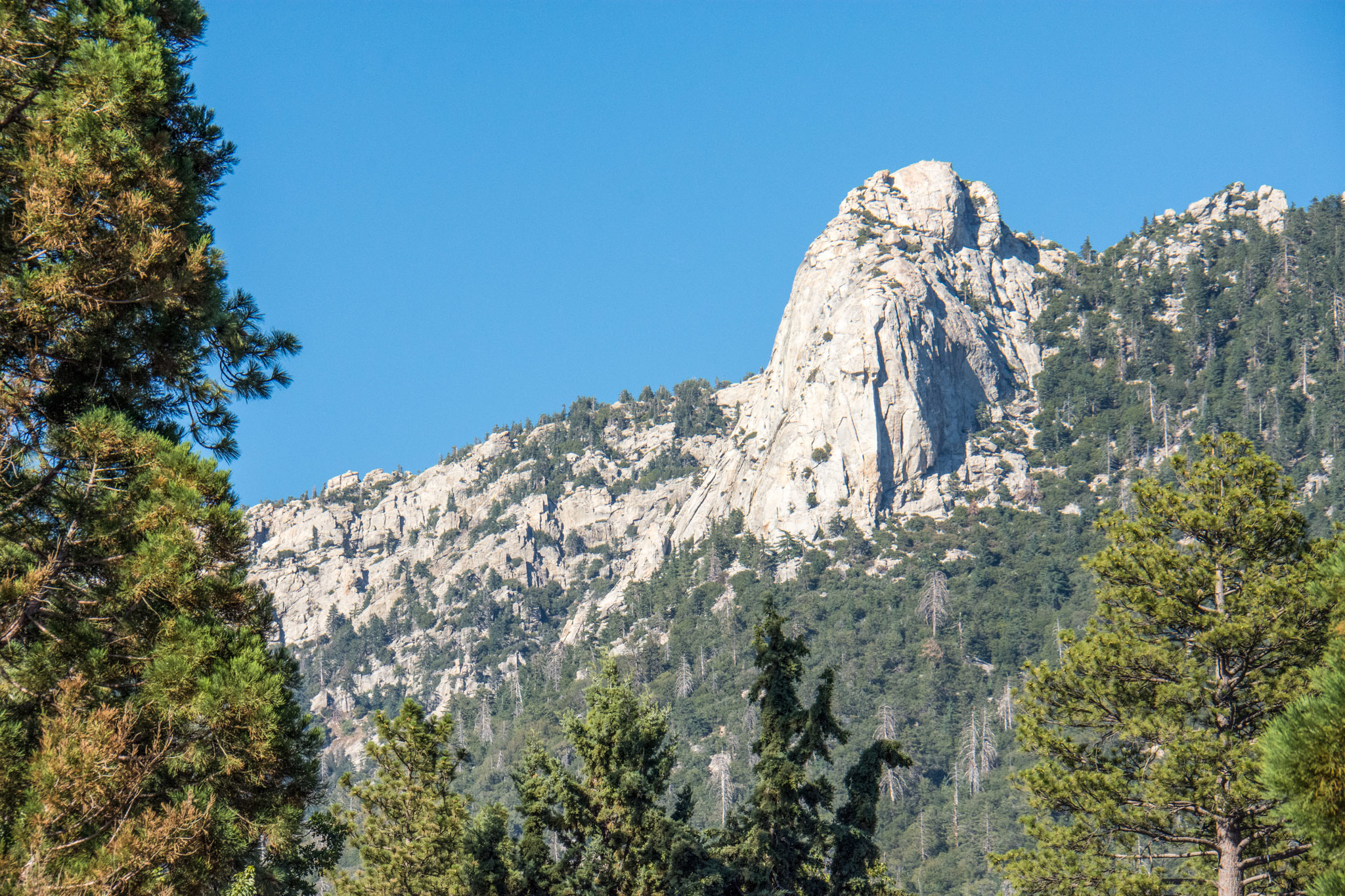 Here's how to plan a perfect weekend trip to Idyllwild