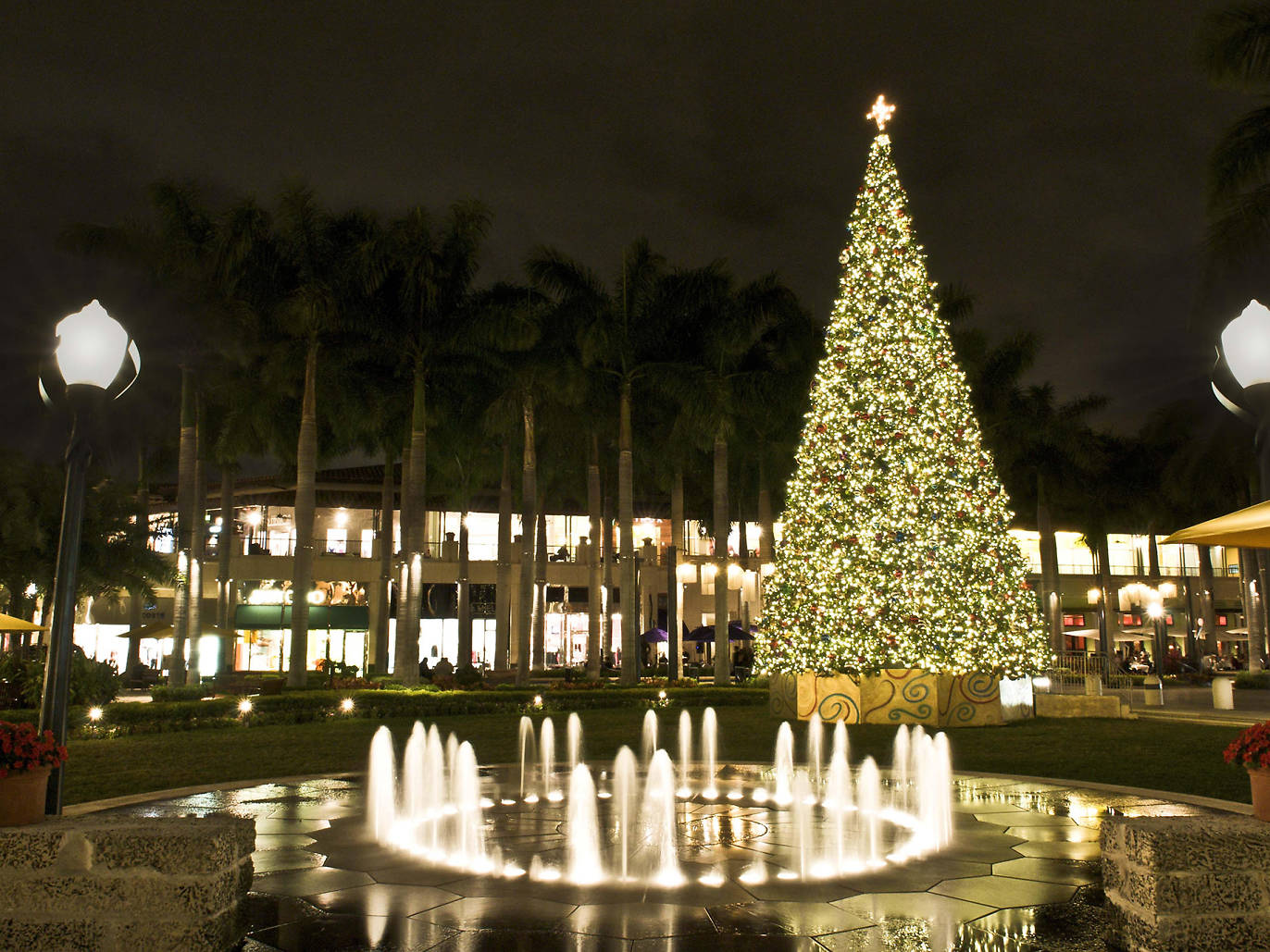 Where to see the most spectacular Christmas lights in Miami