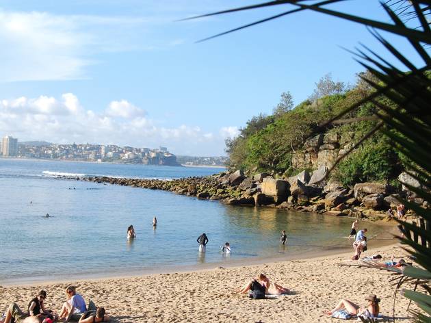 Shelly Beach | Attractions in Manly, Sydney