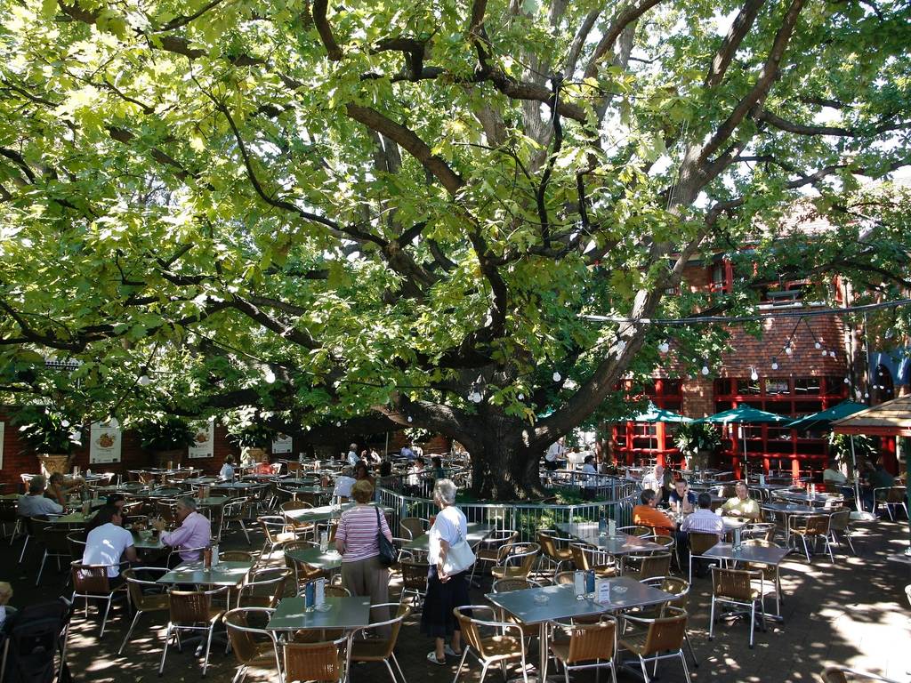 24 best beer gardens in Sydney