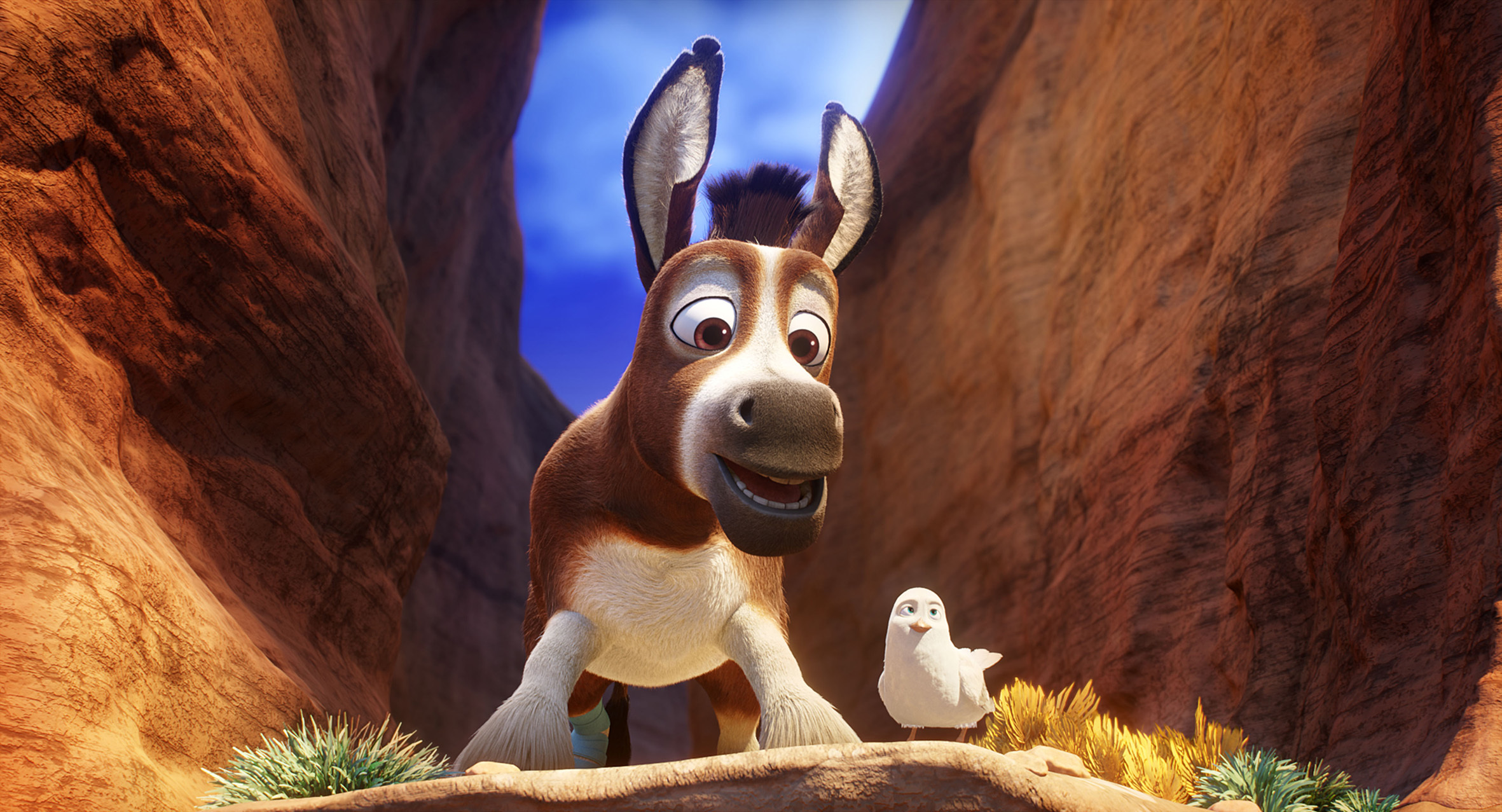 The Star 2017, directed by Timothy Reckart | Film review