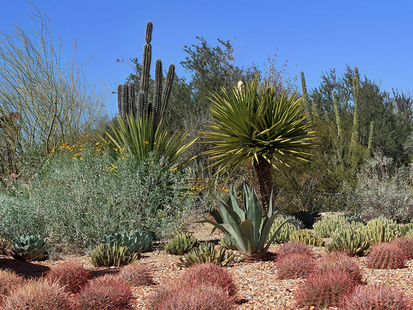 20 Best Attractions in Phoenix to Visit This Year
