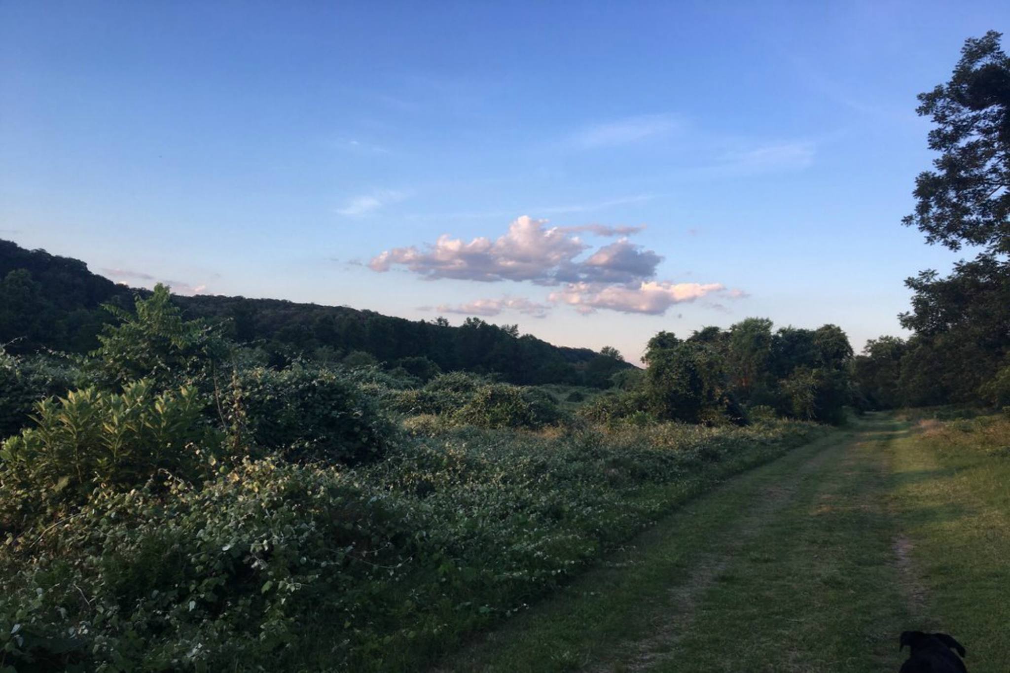 Commons Ford Ranch Metropolitan Park | Attractions in Greater Austin ...