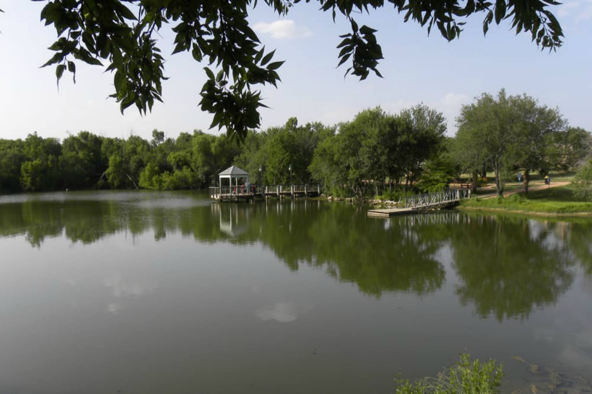 Mills Pond | Attractions in Downtown, Austin
