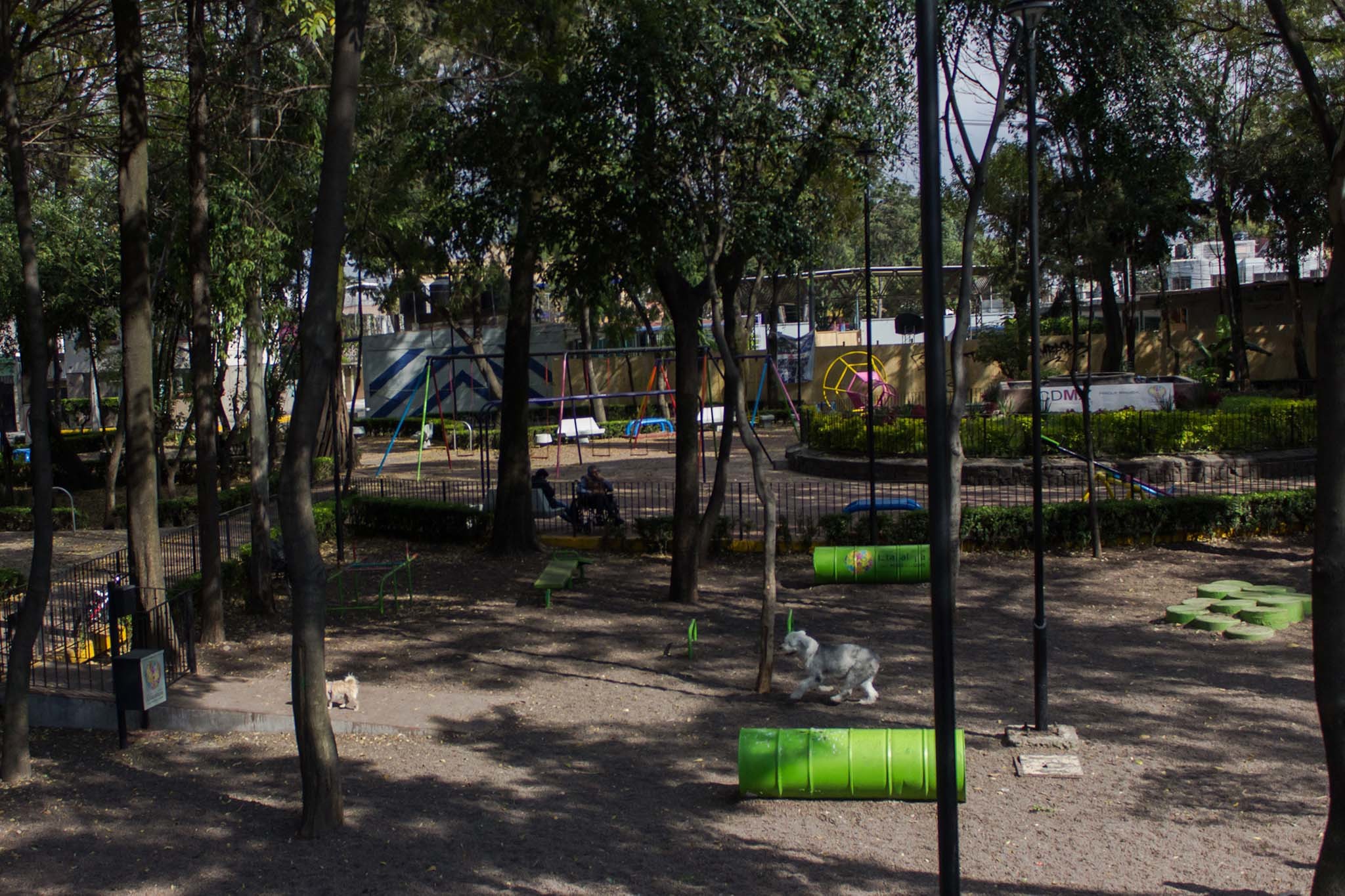 Los mejores parques para perros en la Ciudad de México