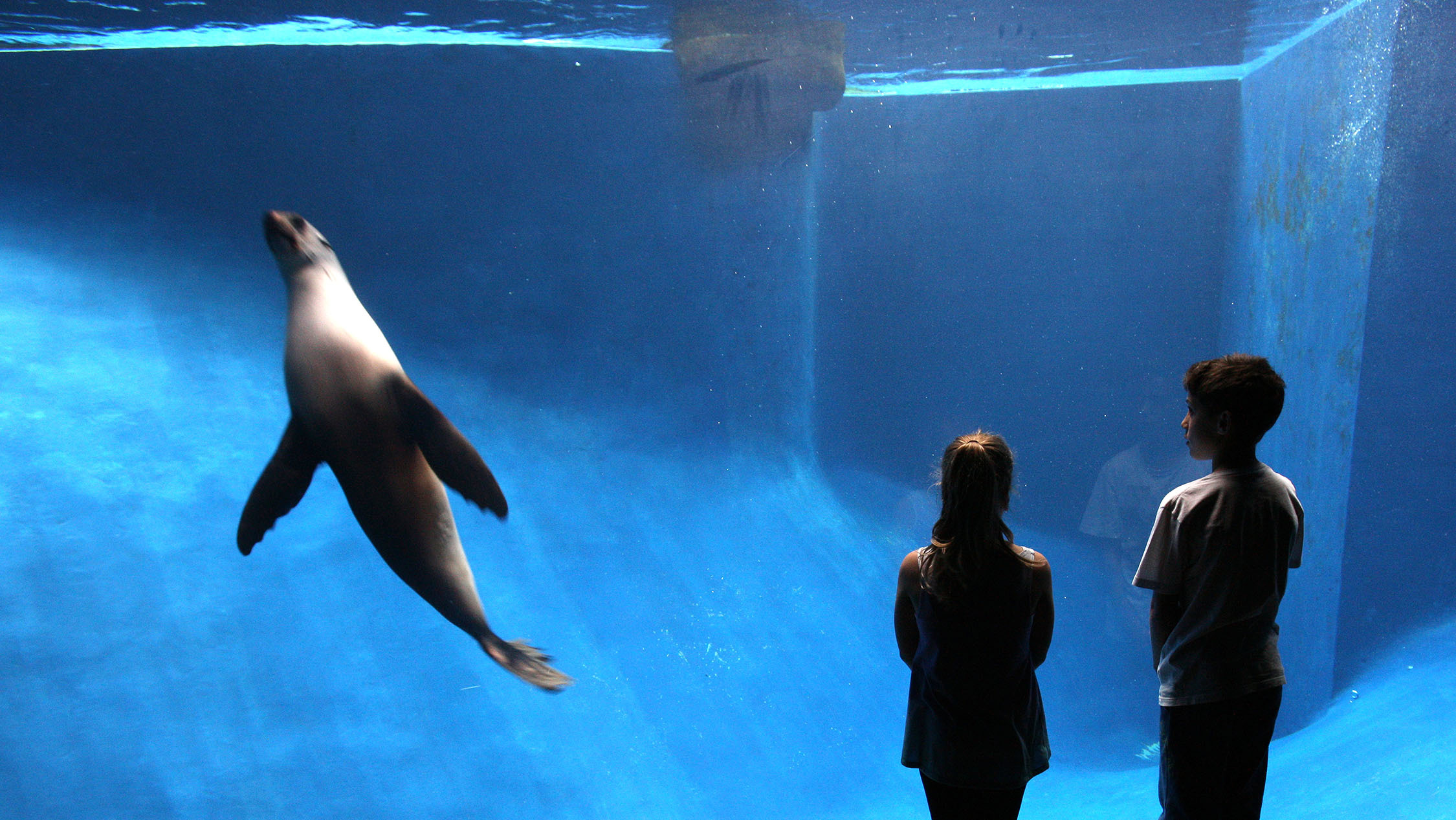 Melbourne Zoo: find out more and book online