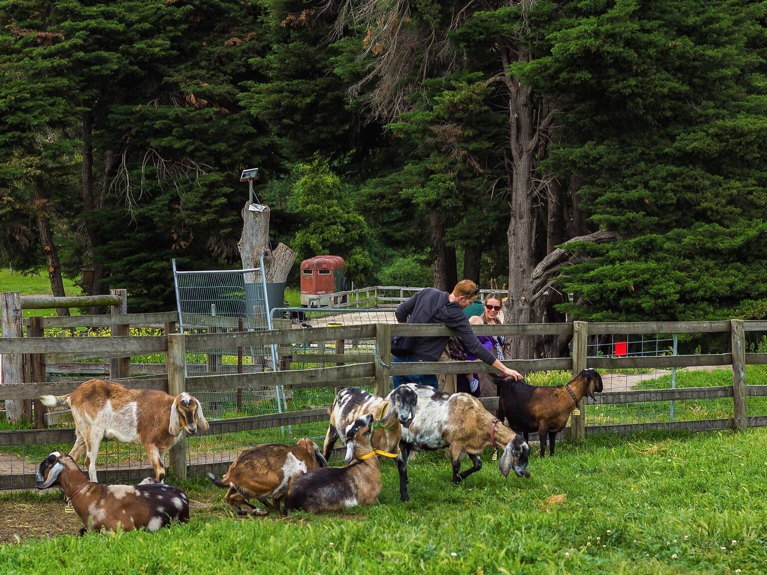 The best things to do in Abbotsford