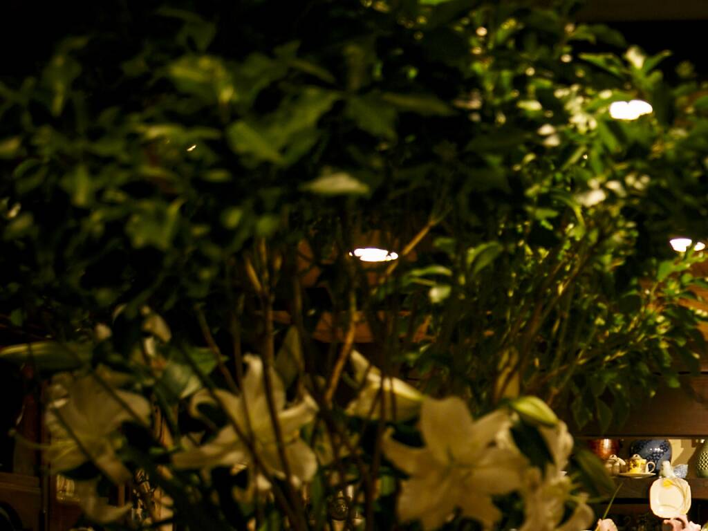 50 best cafés and coffee shops in Tokyo