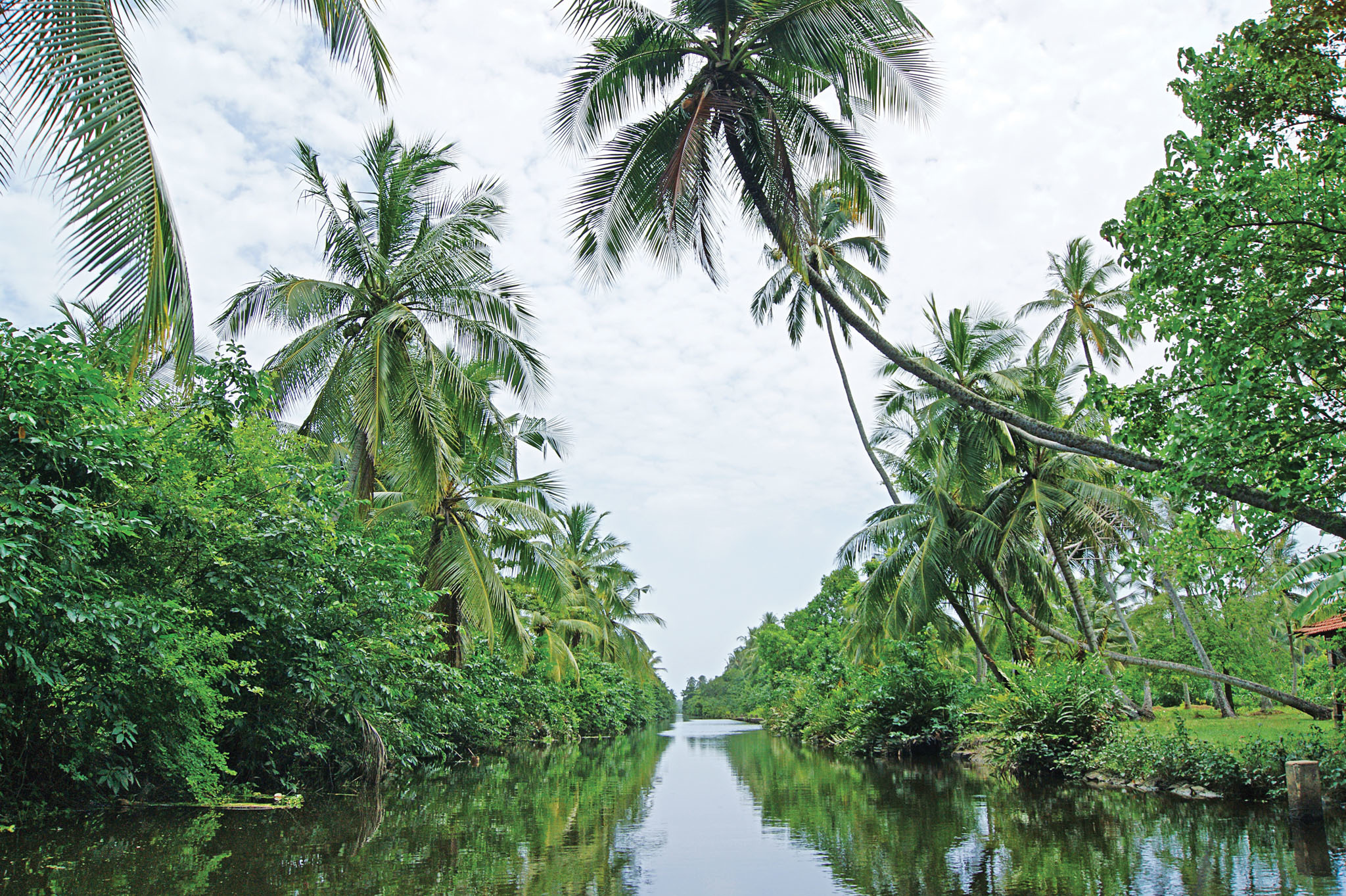 Float along the Hamilton canal
