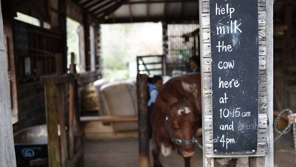 Collingwood Children's Farm | Kids in Abbotsford, Melbourne