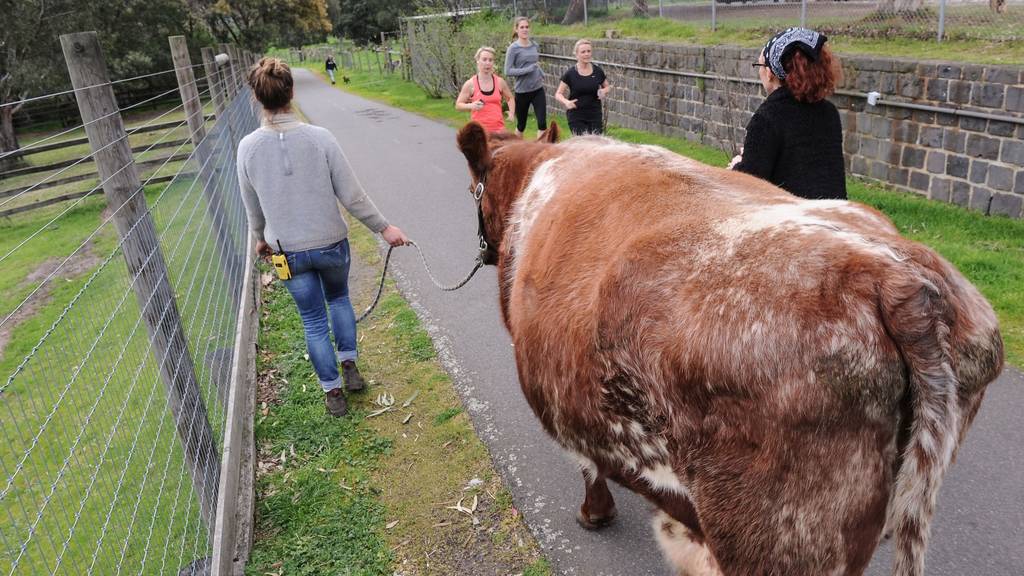Collingwood Children's Farm | Kids in Abbotsford, Melbourne