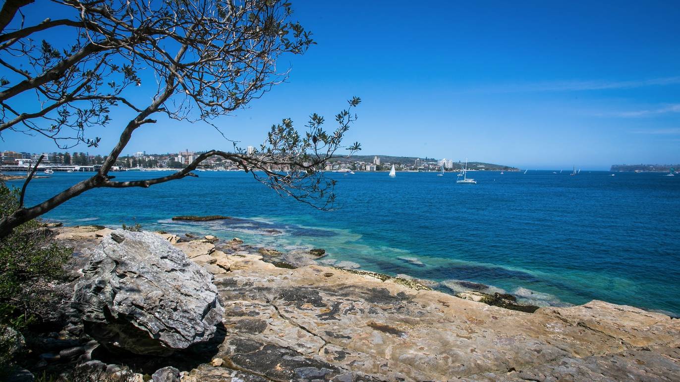 Fairlight Rock Pool | Sport and fitness in Fairlight, Sydney