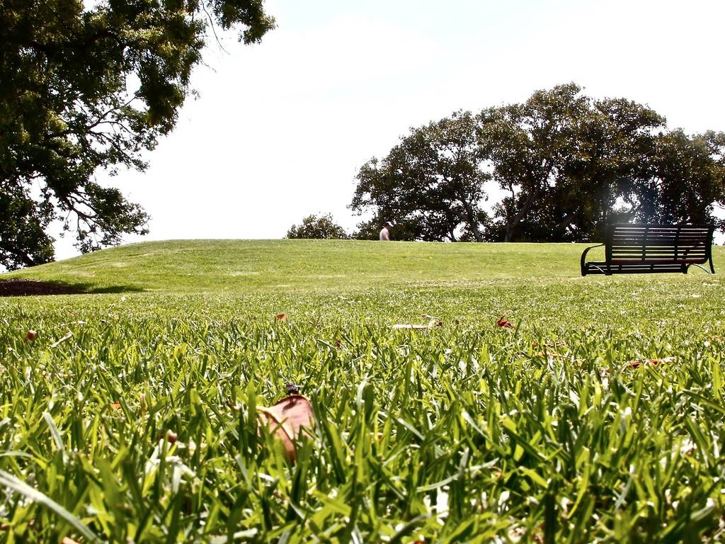 The best parks in Melbourne | Must visit Melbourne parks