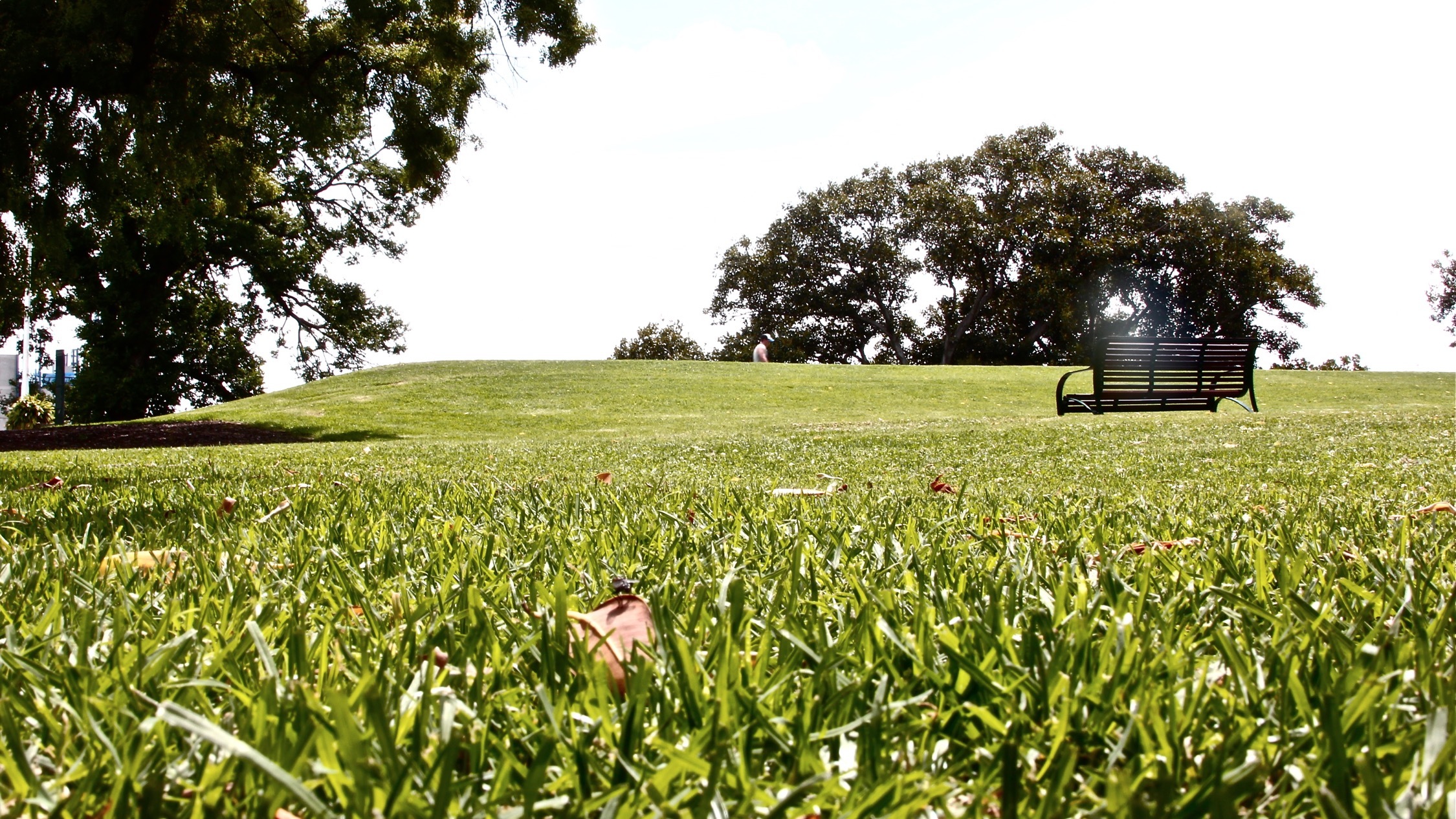 The best parks in Melbourne | Must visit Melbourne parks