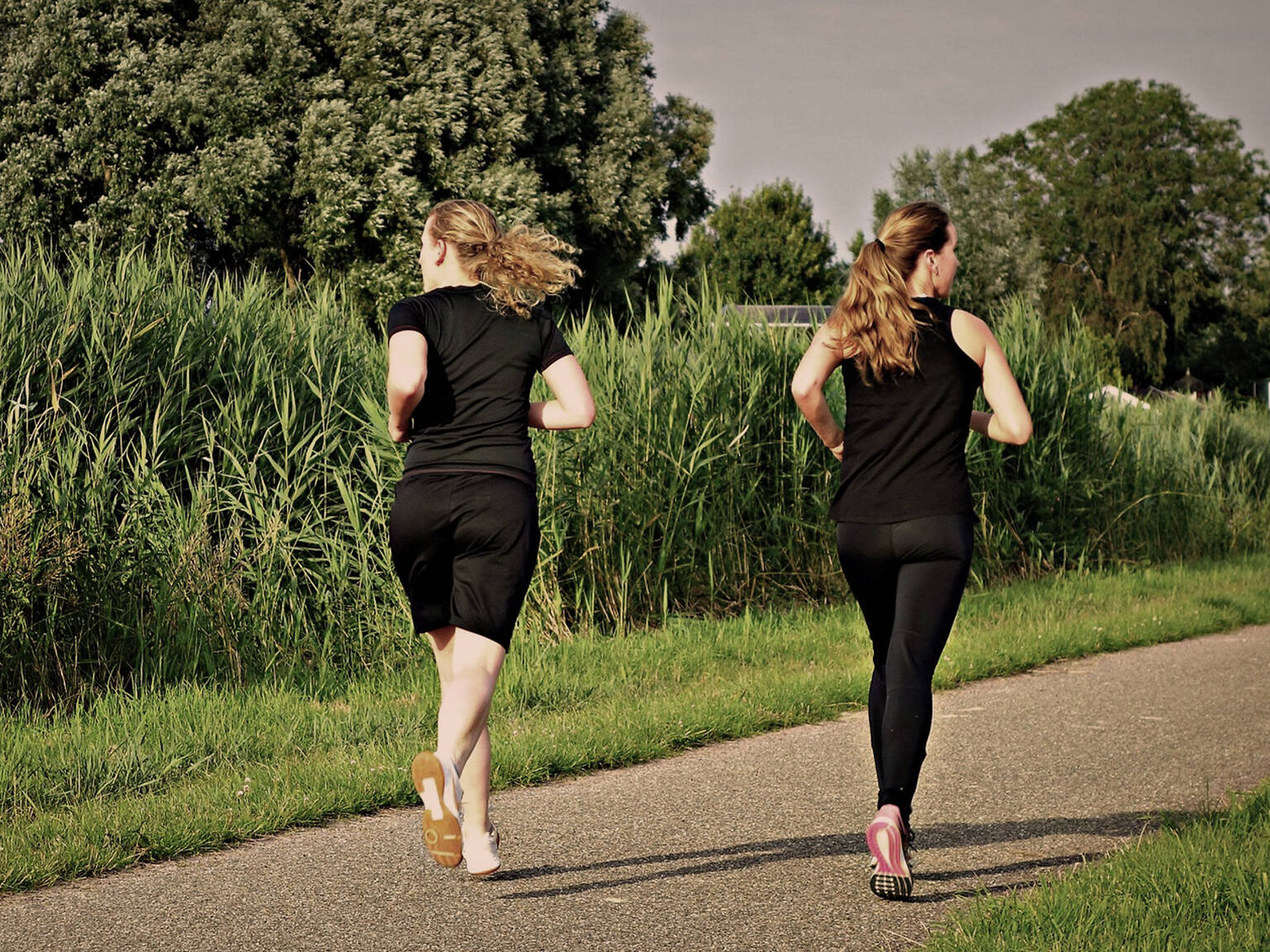 The 16 best running clubs in Melbourne