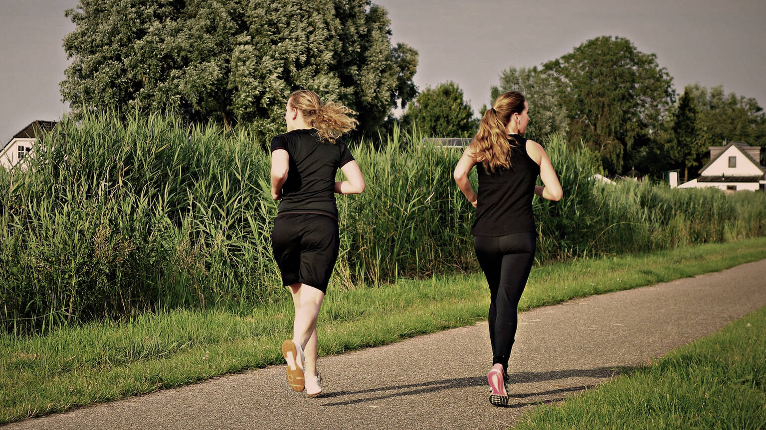 The 16 best running clubs in Melbourne