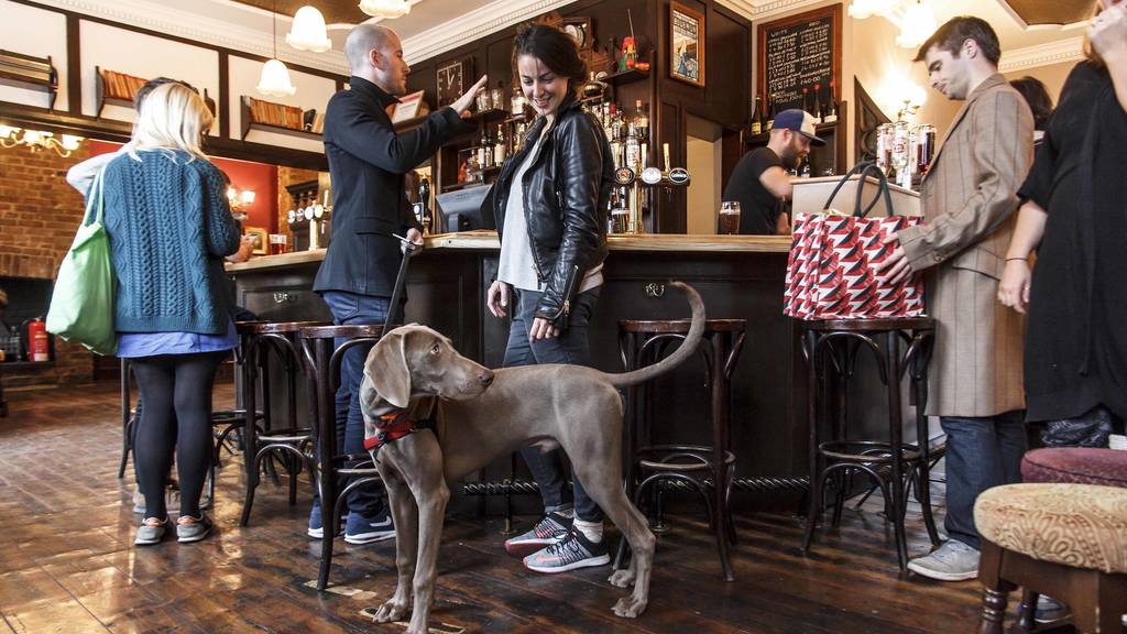 London's best cider pubs | 12 brilliant boozers for scrumpy