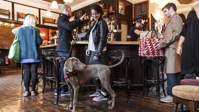 London's best cider pubs | 12 brilliant boozers for scrumpy