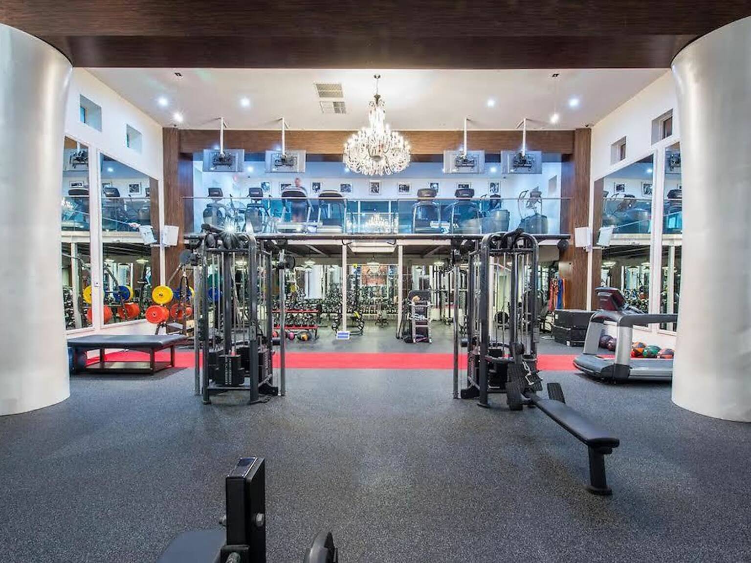 15 Best Gyms in Miami to Get You Fit and Healthy in 2024